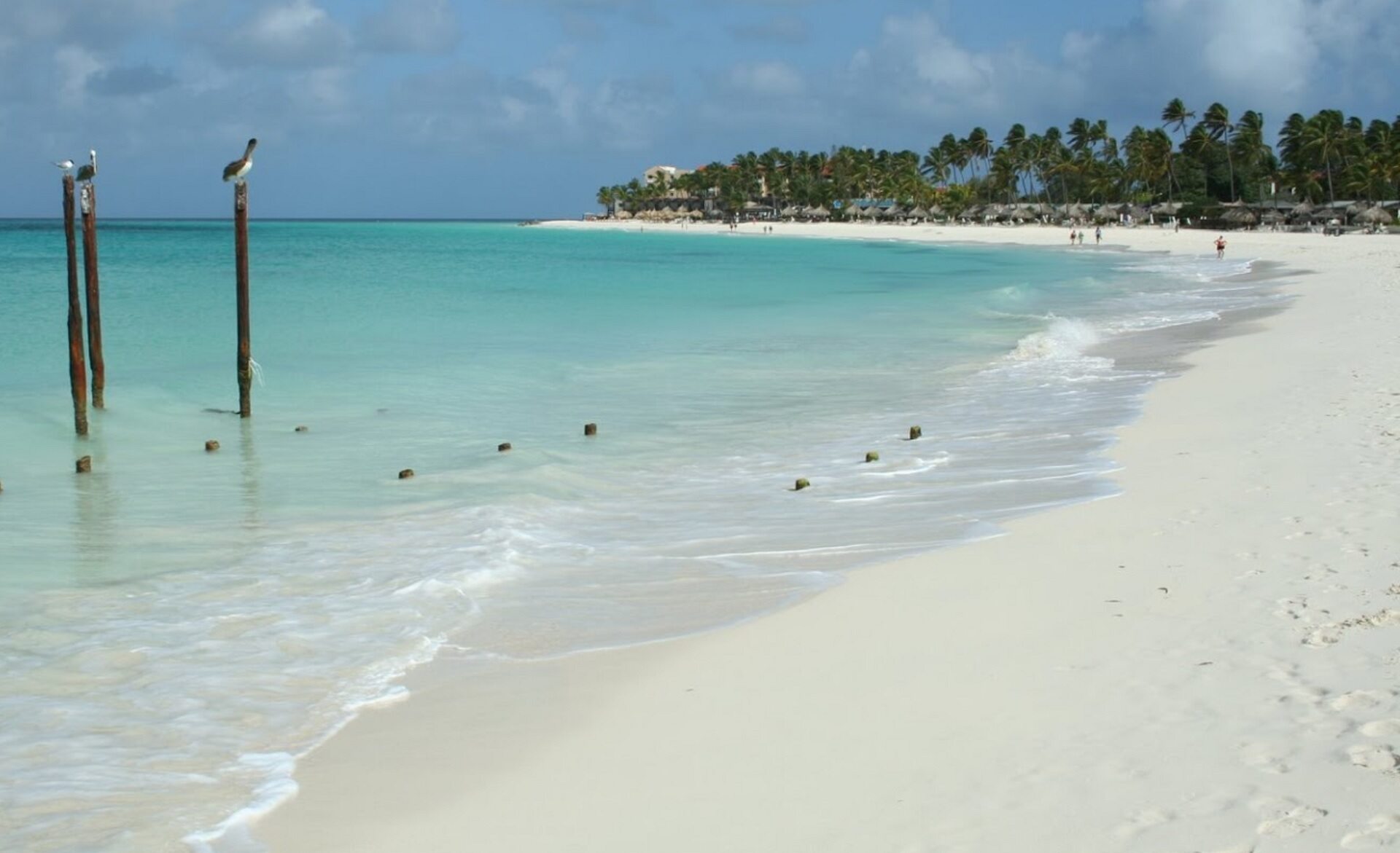 Divi beach, Aruba, ABC islands - Ultimate guide (March 2025) Divi beach, Aruba, ABC islands - Ultimate guide (March 2025)